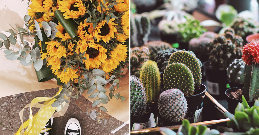 Guide: How to create a flower arrangement for your home (with video)