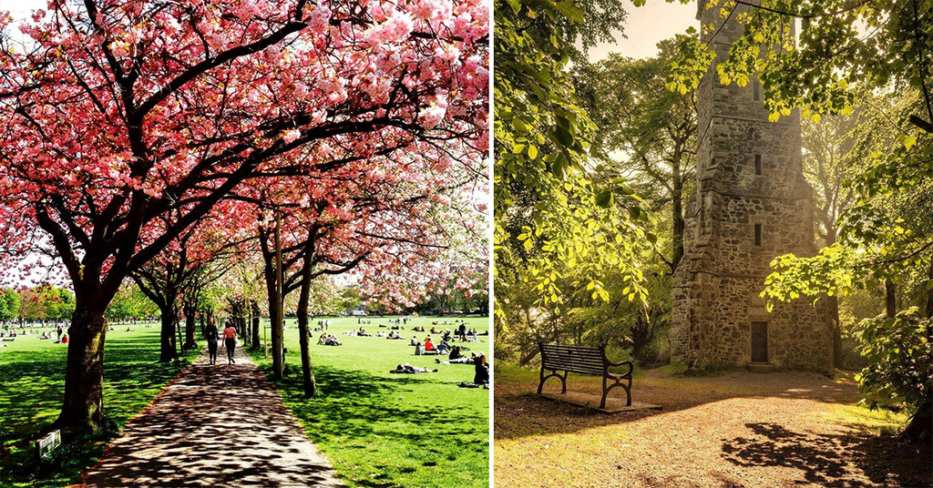Edinburgh's Best Parks & Outdoor Spaces | Dickins