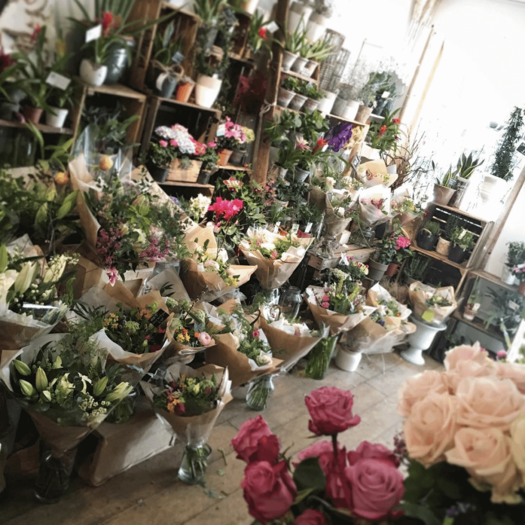 The Best Places to Buy Flowers & Plants in Edinburgh!