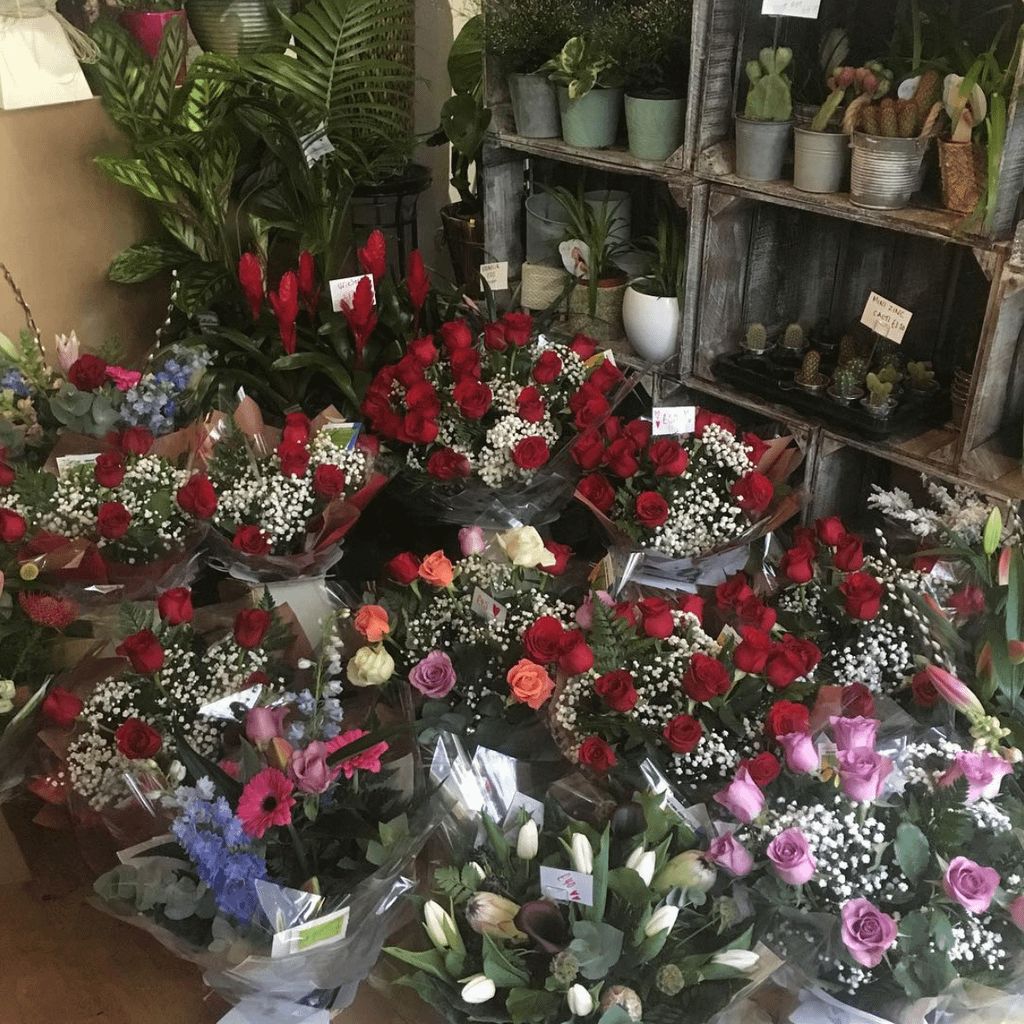 The Best Places to Buy Flowers & Plants in Edinburgh!