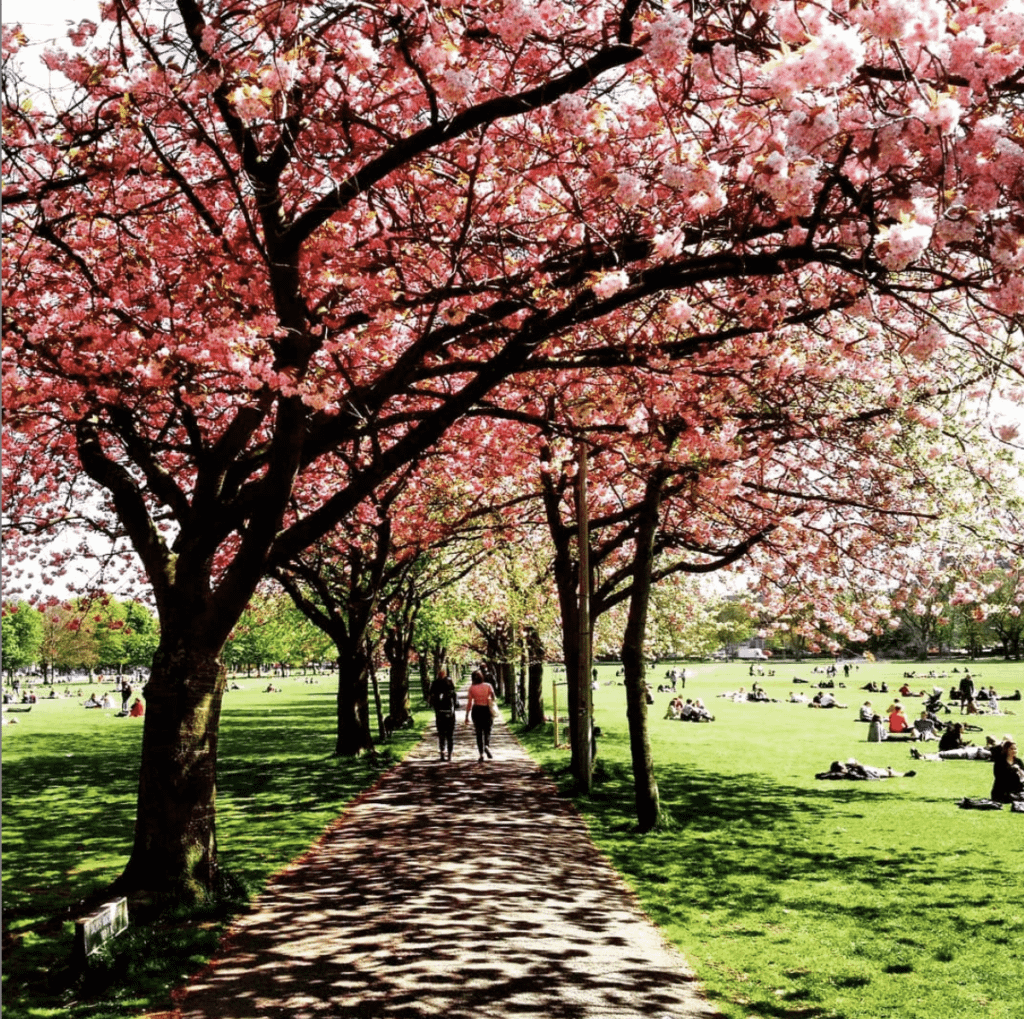 Edinburgh's Best Parks & Outdoor Spaces | Dickins