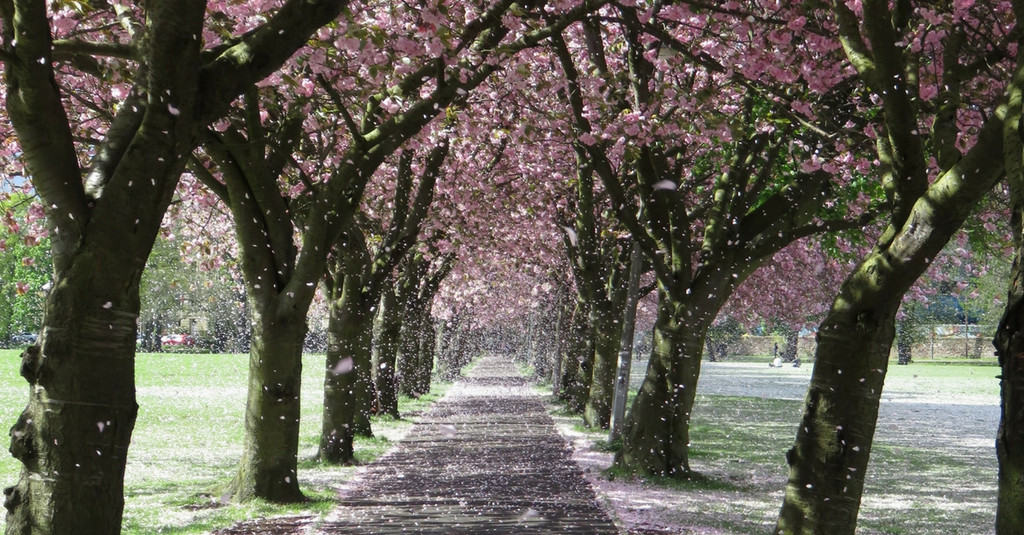 7 Things to Do in Edinburgh this Spring - Dickins