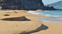 The Best Beaches To Visit Near Edinburgh - Dickins