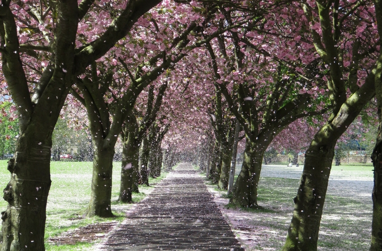 7 Things to Do in Edinburgh this Spring - Dickins