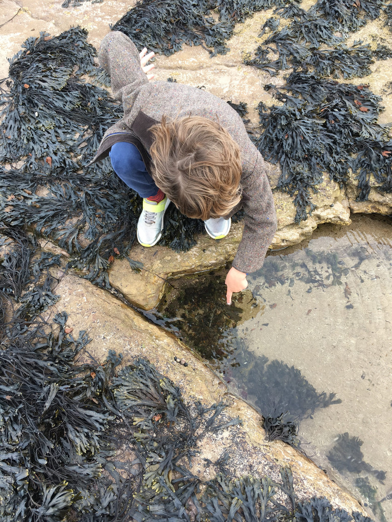 Day Trips From Edinburgh - Secret Beaches And World Famous Croissants ...