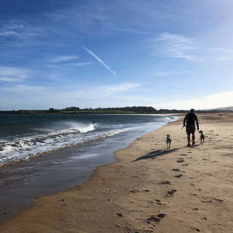 The Best Beaches To Visit Near Edinburgh - Dickins