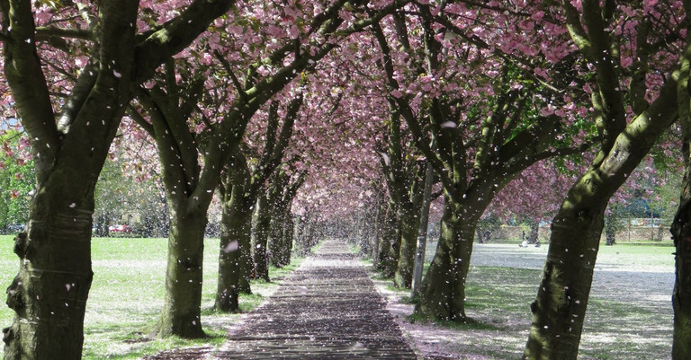 7 Things to Do in Edinburgh this Spring - Dickins