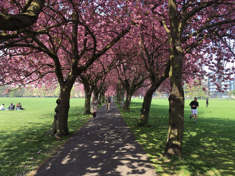 Our Homes From Home - Simpson Loan, Lauriston