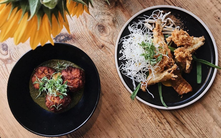 Top 6 Dog Friendly Edinburgh Pubs! - Dickins