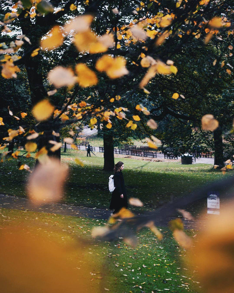 9 Photos That'll Make You Want To Spend Autumn in Edinburgh