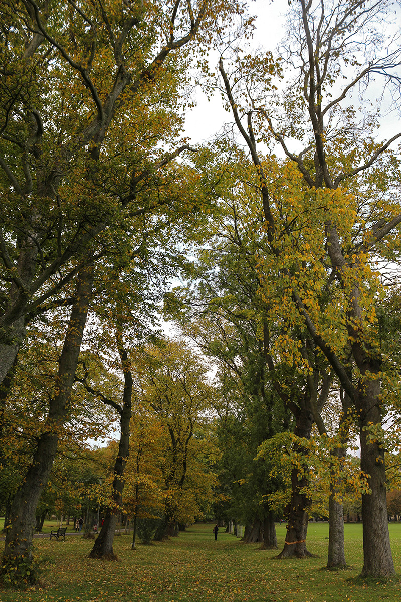 20 Photos of Autumn in Edinburgh - Dickins